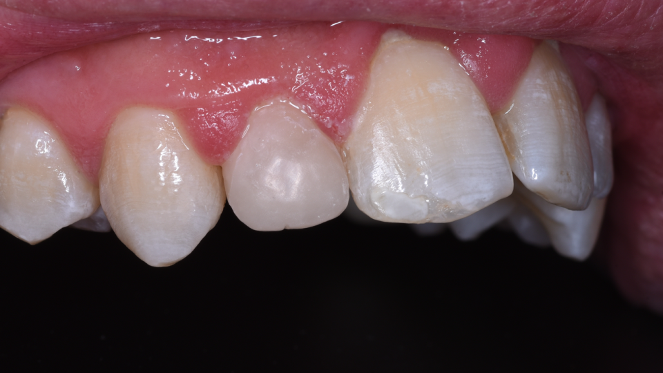 Be part of the Venus community